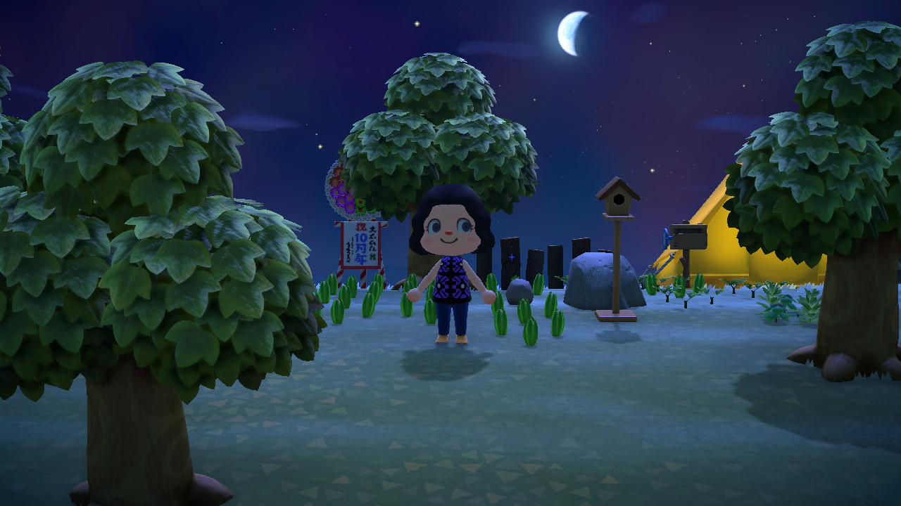 Visit Moon Isle - Home