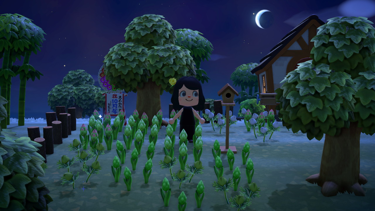 Visit Moon Isle - Home